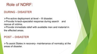 the role of government in disaster | PPTX