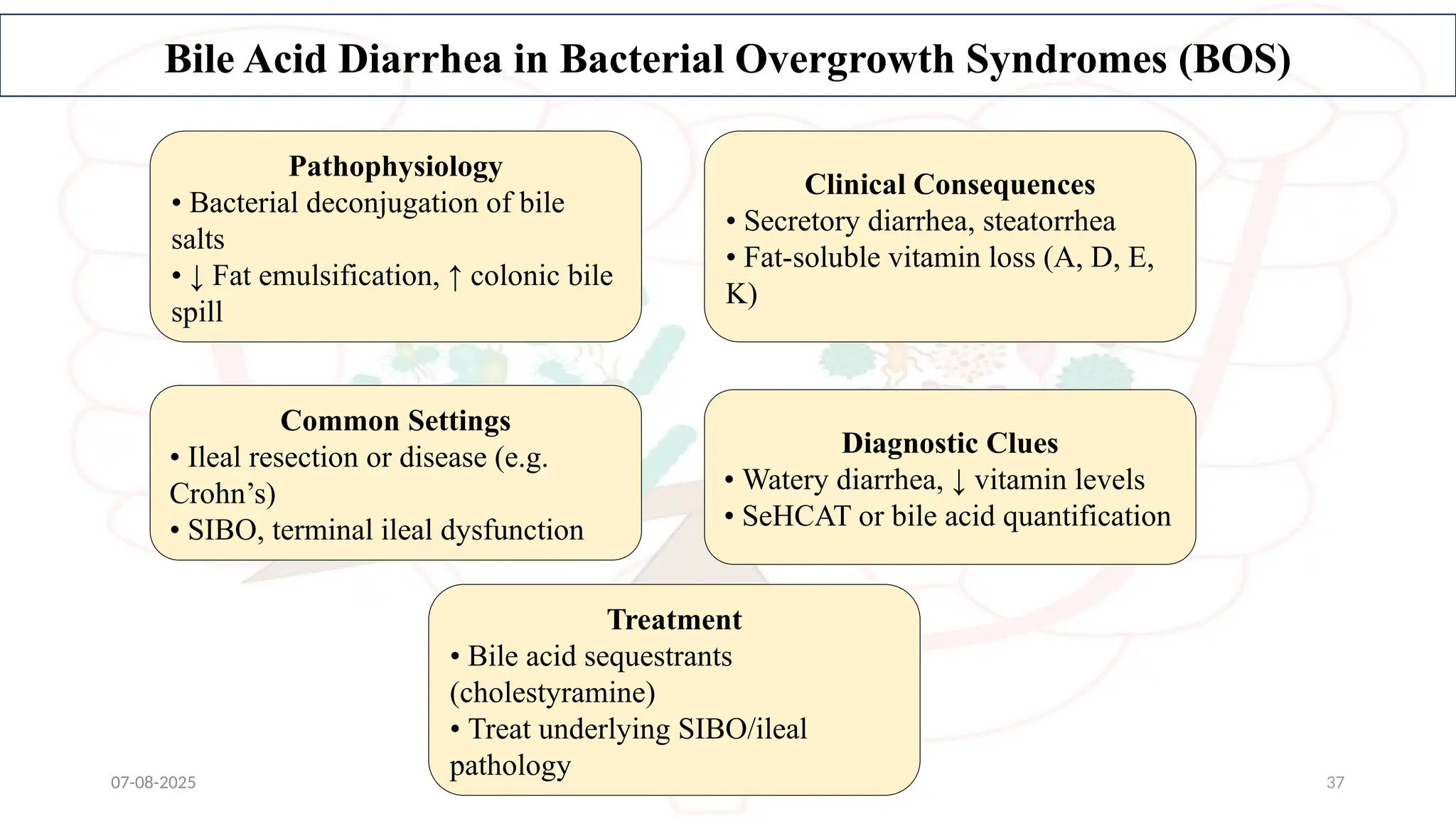 Bacterial Overgrowth Syndromes-A detailed description | PPTX