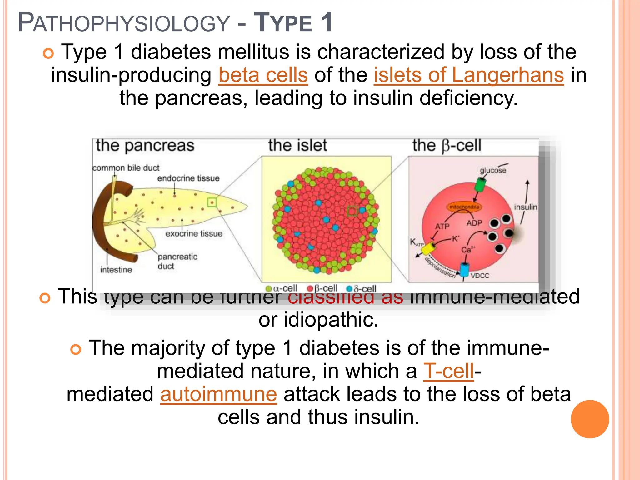 DIABETES MELLITUS PRESENTATION.pptx