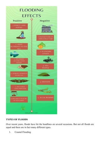 Disaster Management | PDF