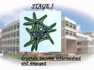 Setting expansion of Gypsum | PPTX
