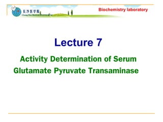 Lecture 7 | PPT