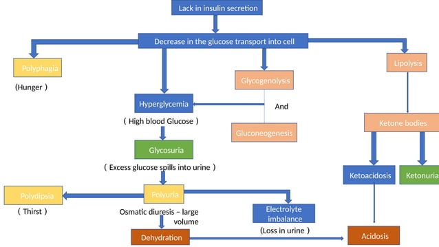 Diabetes mellitus ( DM) Presentation ppt | PPT