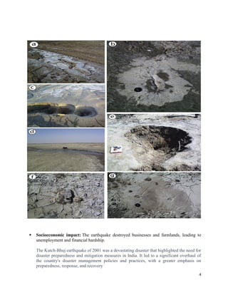 DM_report.docx disaster management case study | DOCX