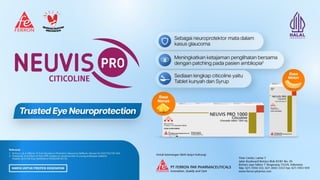 dm retina obat dan supplement baik2.pptx