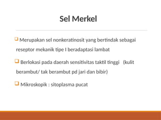 DMS-1 K3 Struktur dan Anatomi Kulit.pptx