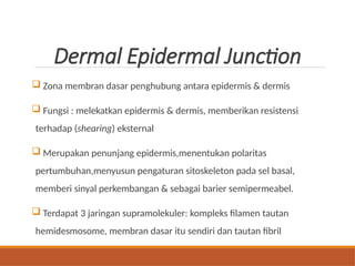 DMS-1 K3 Struktur dan Anatomi Kulit.pptx