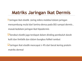 DMS-1 K3 Struktur dan Anatomi Kulit.pptx