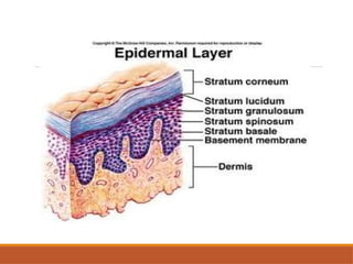 DMS-1 K3 Struktur dan Anatomi Kulit.pptx
