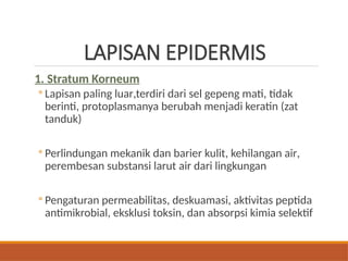 DMS-1 K3 Struktur dan Anatomi Kulit.pptx