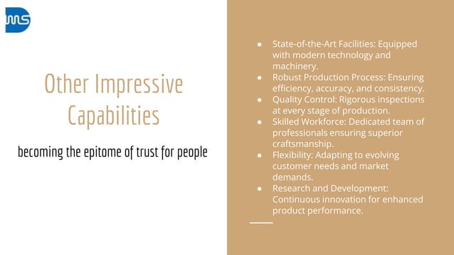 DMSL PPT INTRODUCTION.pptx | Manufacturing Industry | Industries