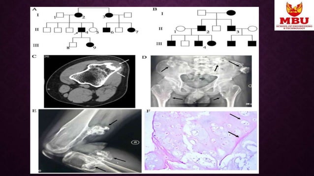 DMS MODULE 1 PRESENTATION.pptx