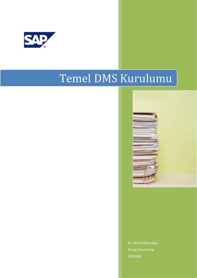 SAP DMS kılavuzu | DOCX