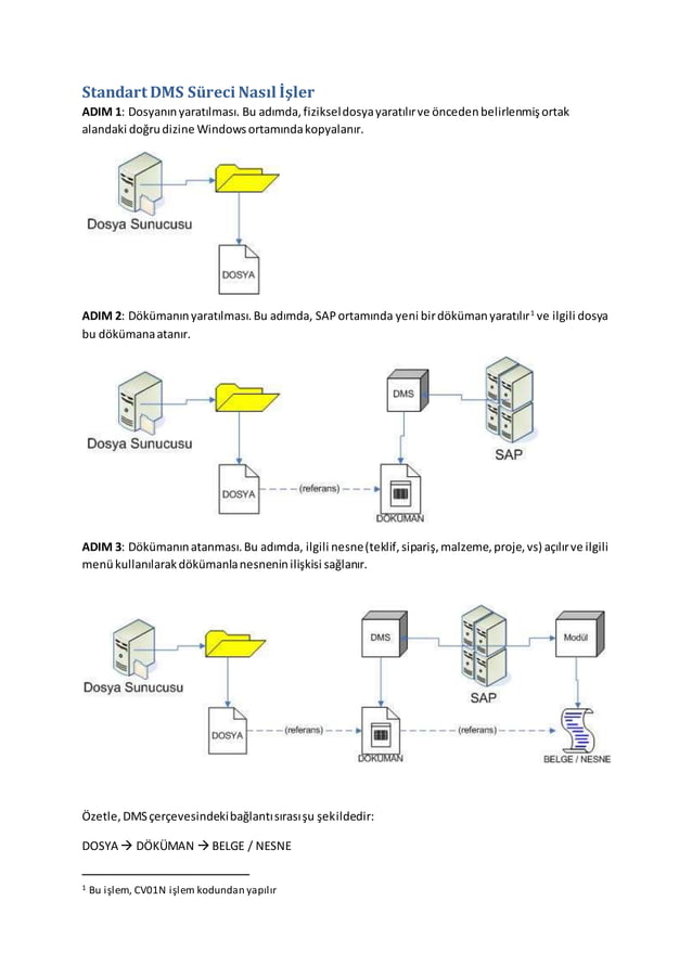 SAP DMS kılavuzu | DOCX