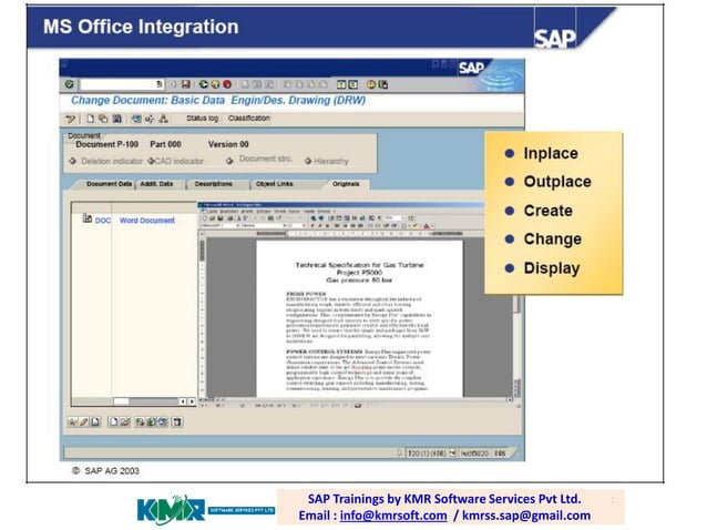SAP DMS PLM 120 | PDF