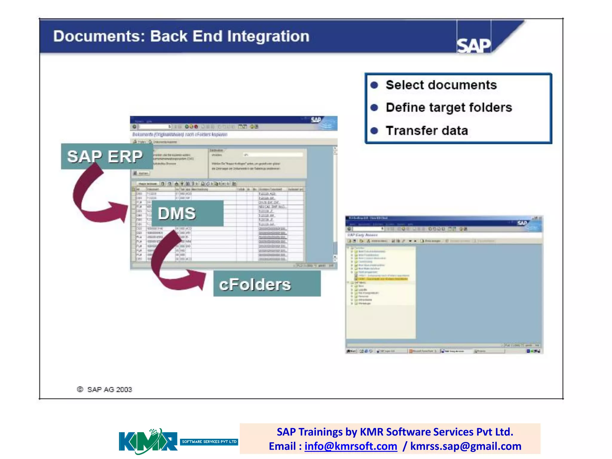 SAP Document Management System(DMS)-PLM 120 | PDF