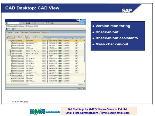 SAP Document Management System(DMS)-PLM 120 | PDF