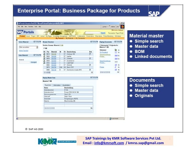 SAP Document Management System(DMS)-PLM 120 | PDF