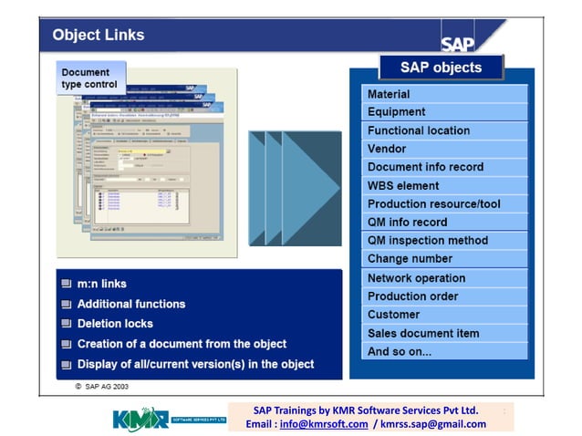 SAP Document Management System(DMS)-PLM 120 | PDF