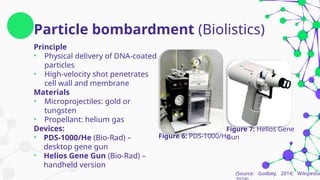Direct_Methods_of_Genetic_Engineering.pptx