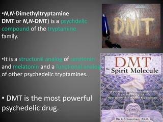Dimethyltryptamine Drug