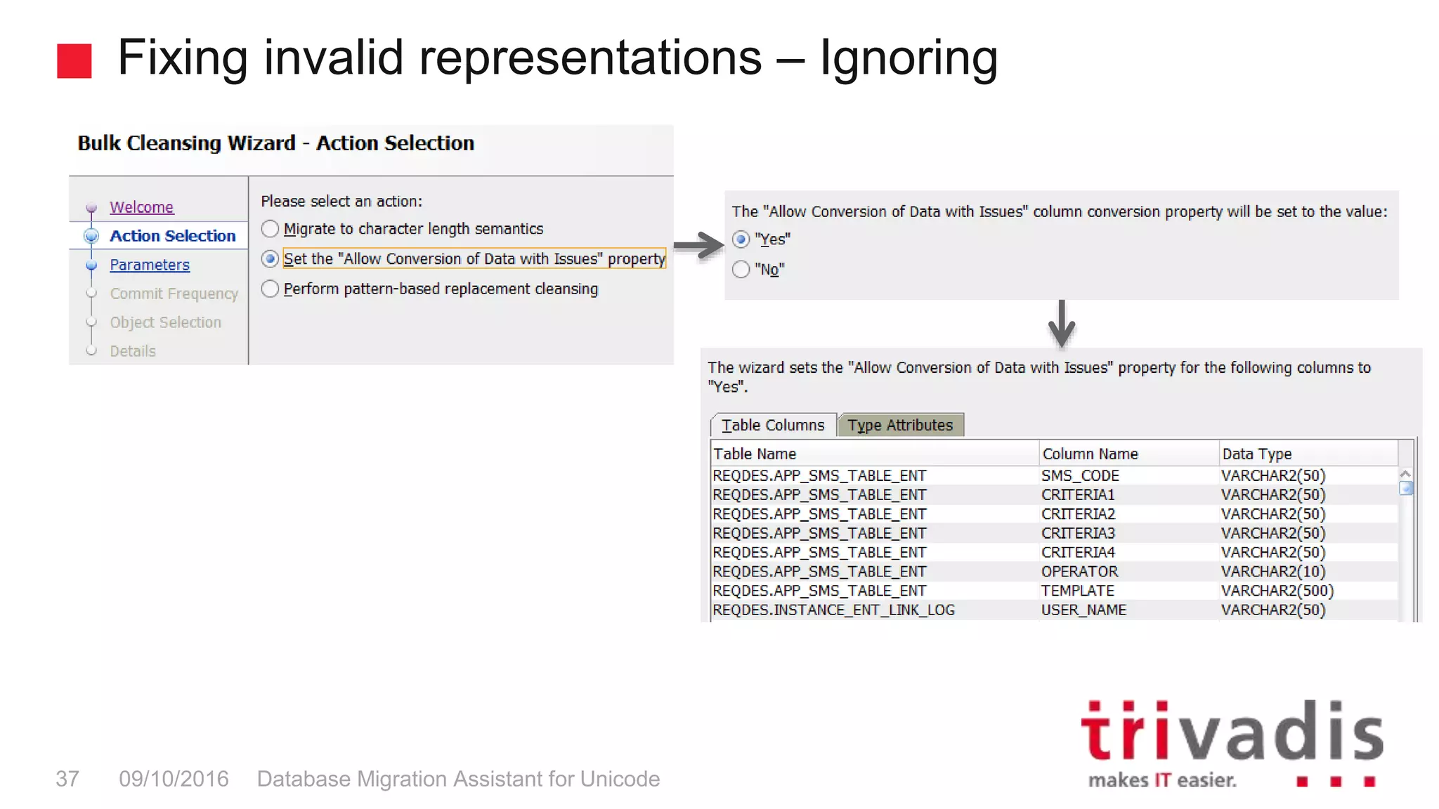 Database Migration Assistant for Unicode (DMU) | PPTX