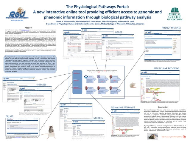 The Physiological Pathways Portal | PPT