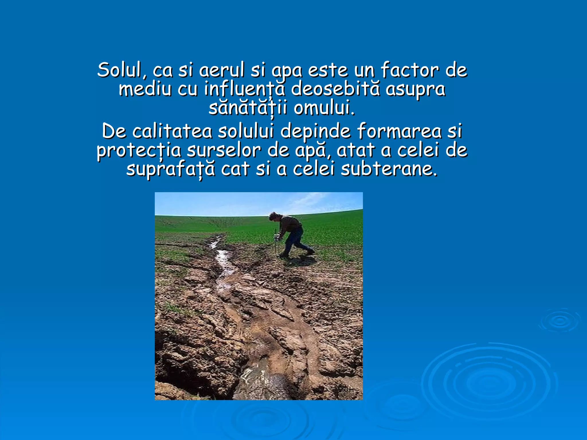 factorii de poluare | PPT