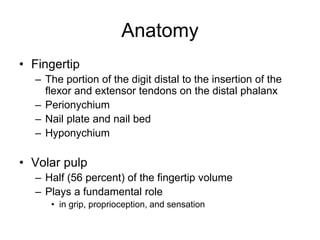 Fingertip injuries surgical management 1 | PPT