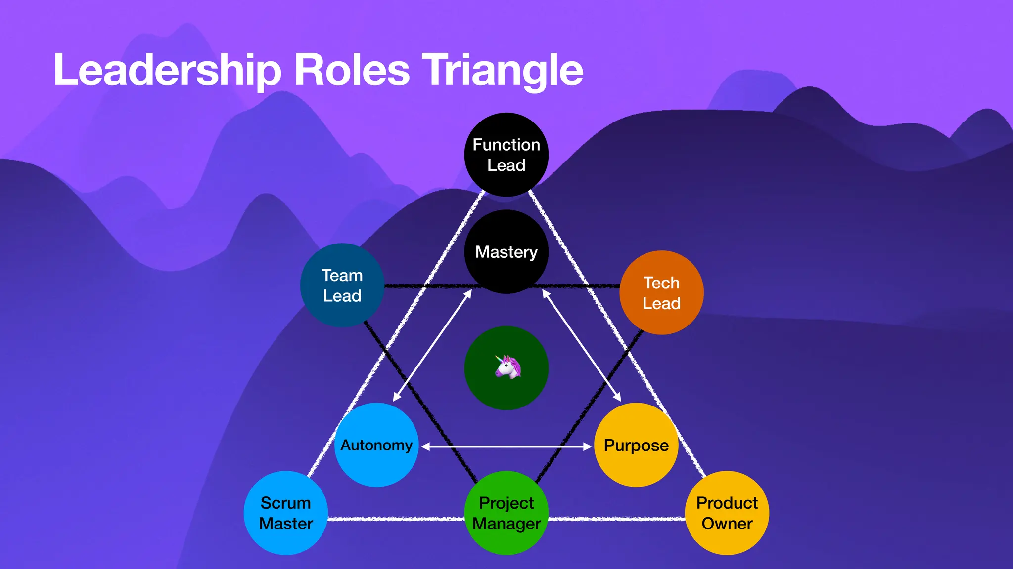 Dmytro Velykoivanenko: Leadership Roles and where to find them (UA) | PDF