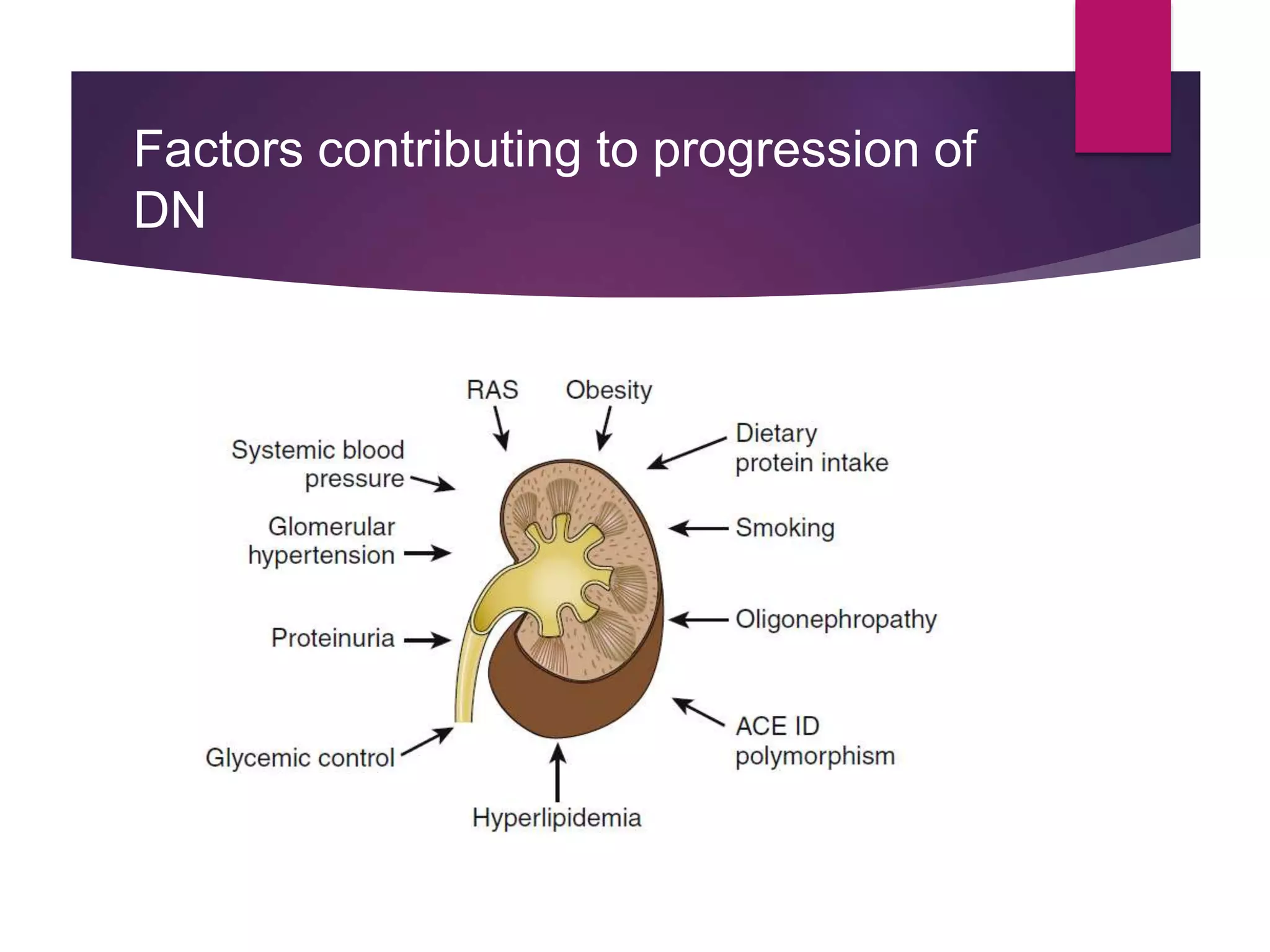 Diabetic nephropathy | PPTX