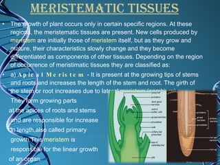basics of tissue | PPT