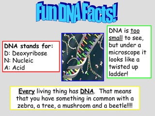 Dna | PPT