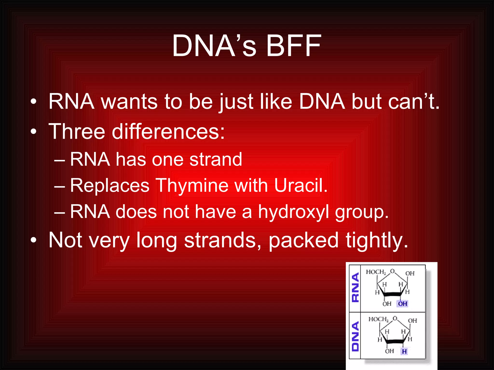 Dna | PPT