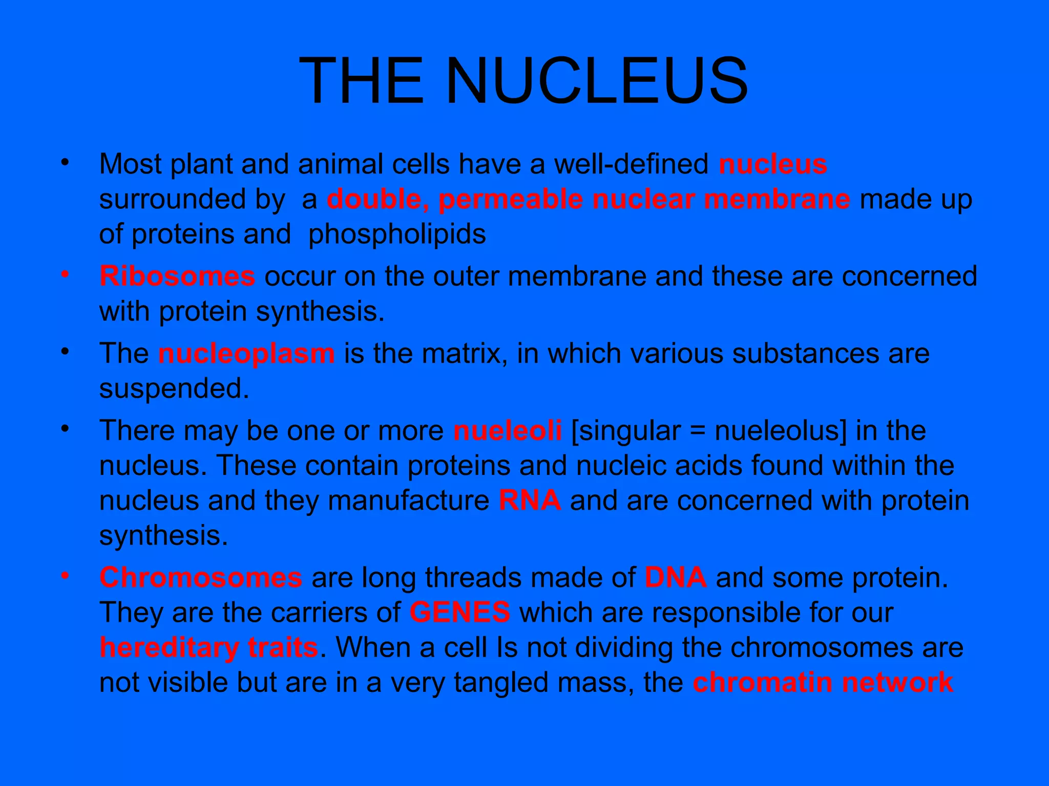 DNA for Grade 12 | PPT