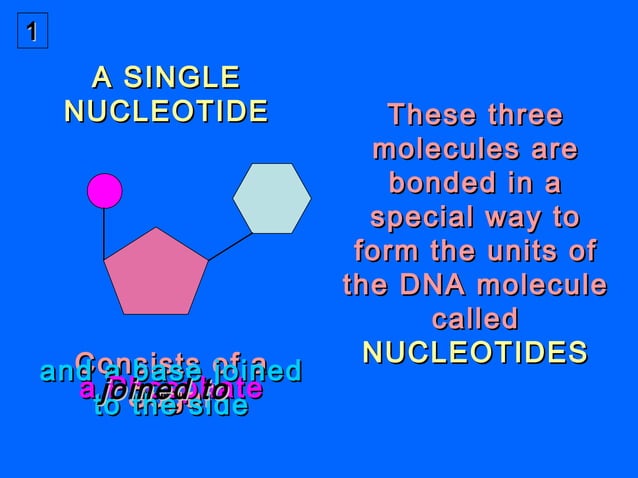 DNA for Grade 12 | PPT