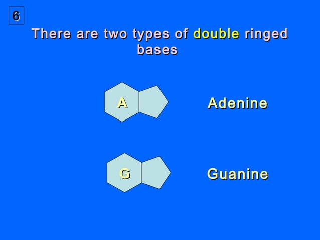 DNA for Grade 12 | PPT