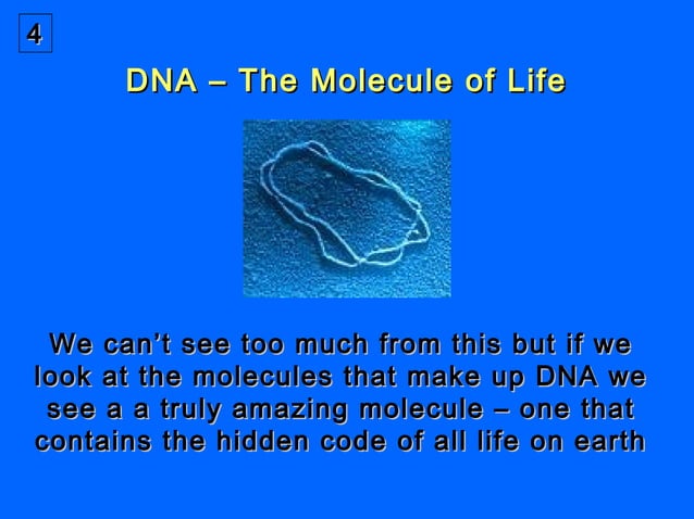 DNA for Grade 12 | PPT