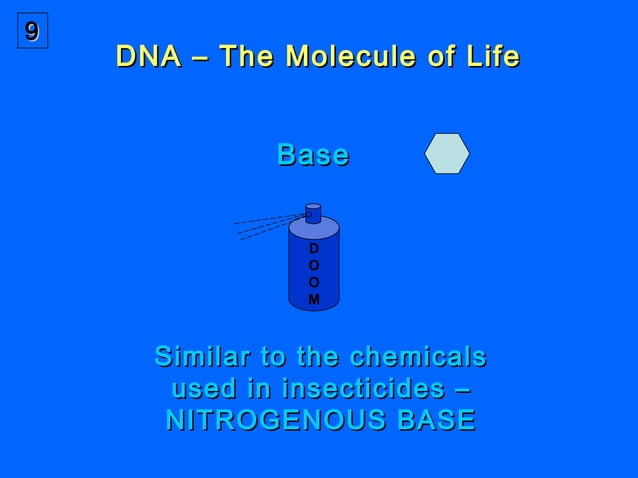DNA for Grade 12 | PPT