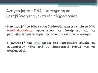 Δομή και Αντιγραφή DNA | PPTX