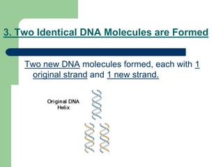 Dna | PPTX