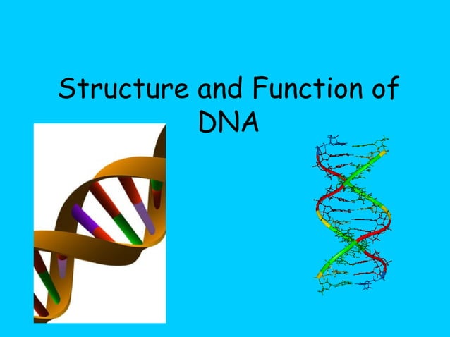 Dna | PPT