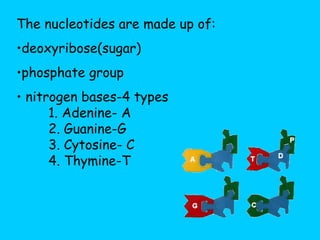 Dna | PPT