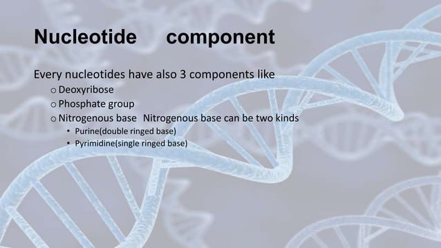 Introduction to DNA | PPTX | Chemistry | Science