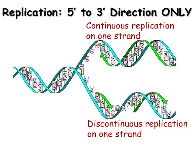 Dna dna