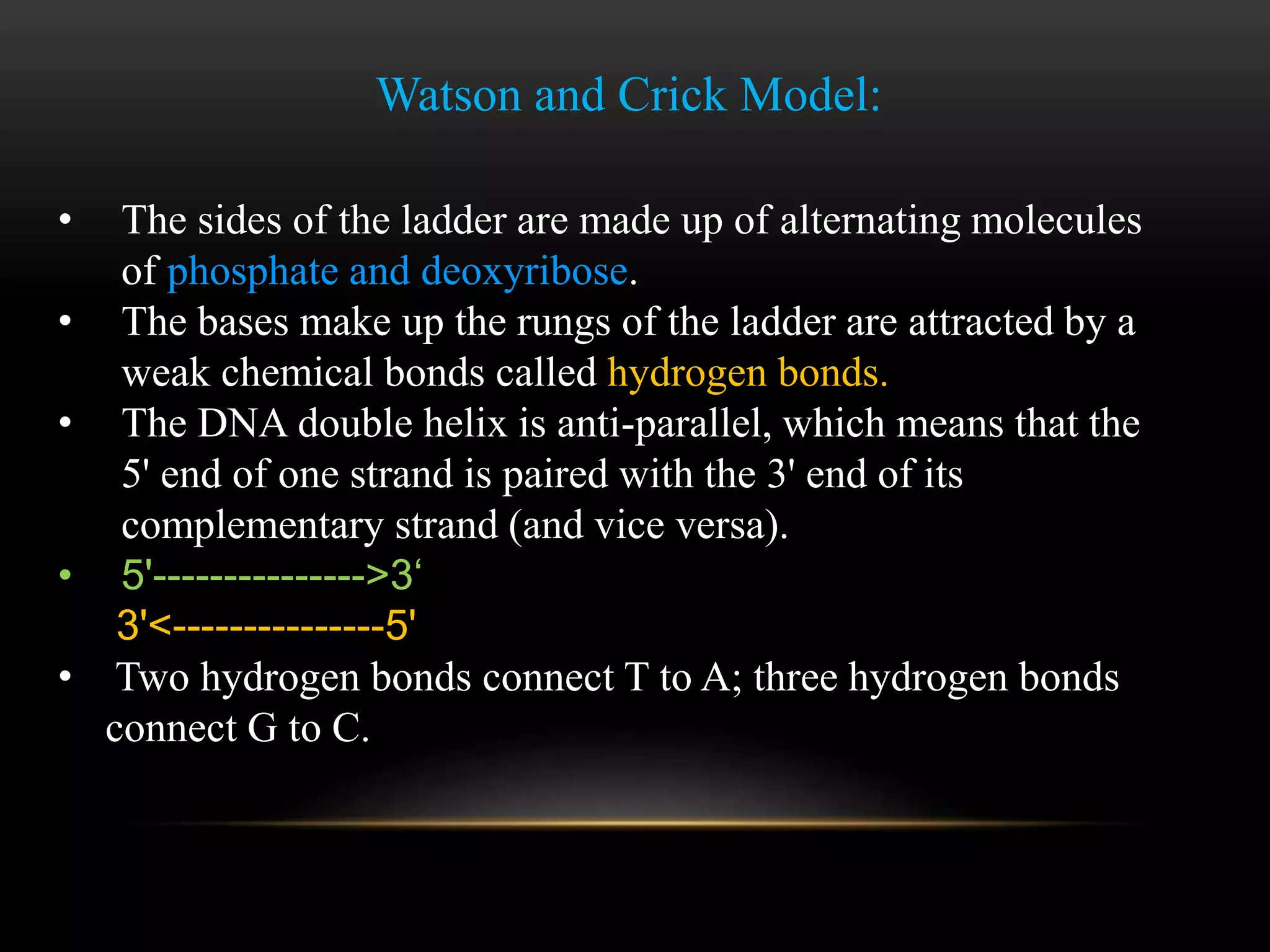 A complete PPT on DNA | PPTX