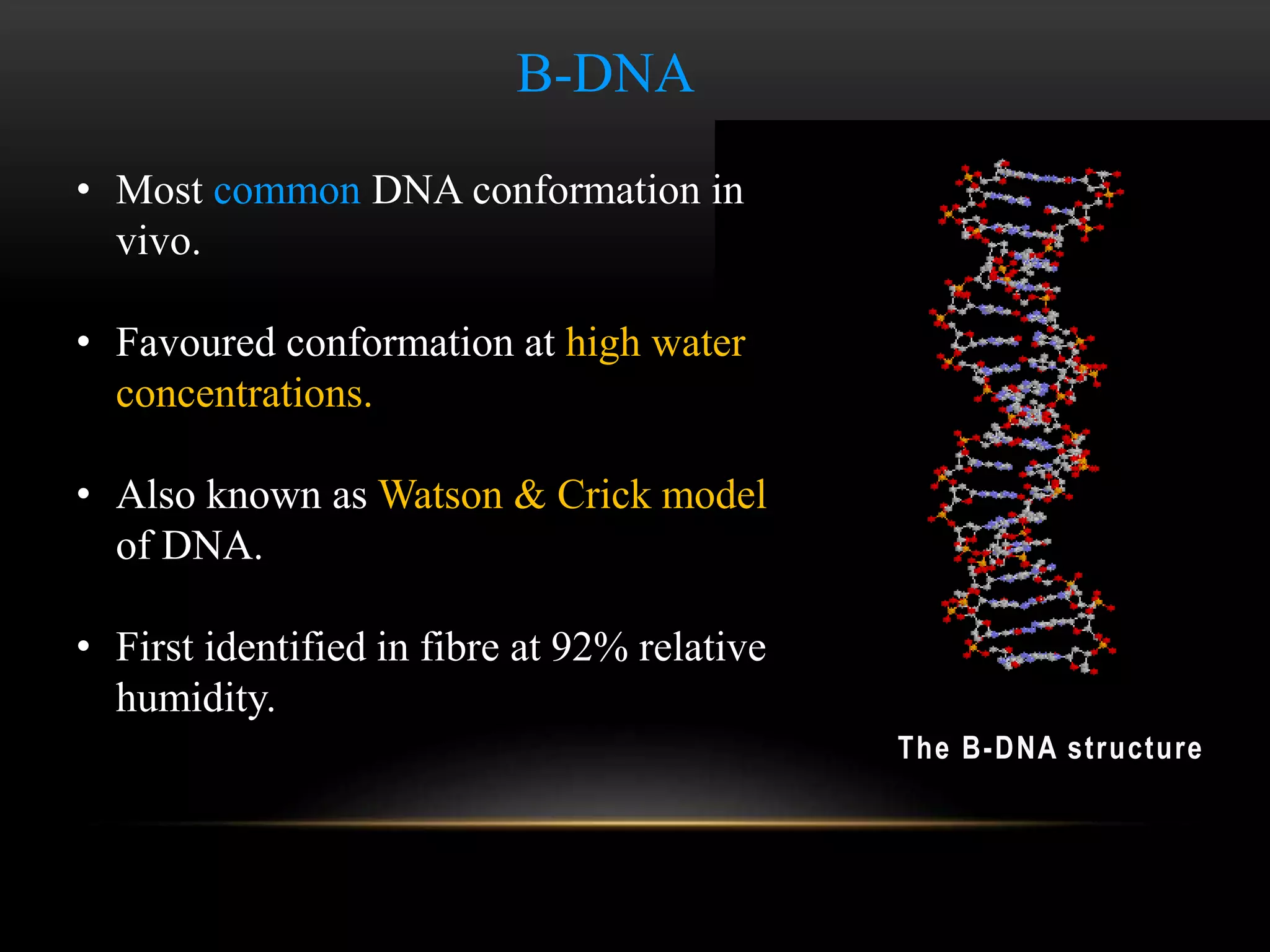 A complete PPT on DNA | PPTX