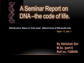 A complete PPT on DNA | PPTX