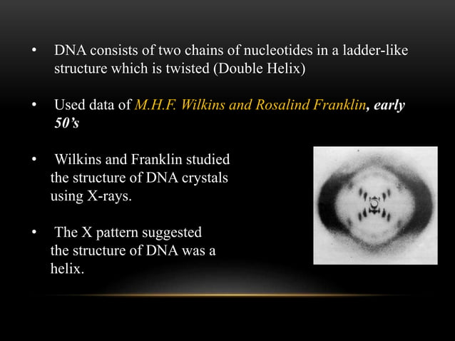 A complete PPT on DNA | PPTX