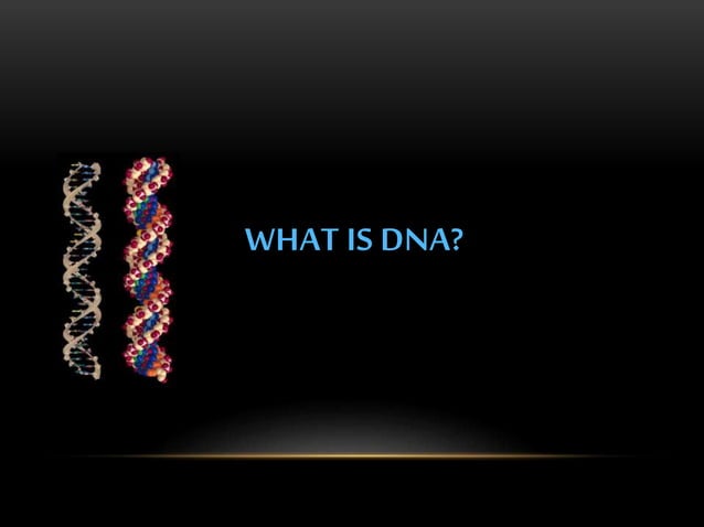 A complete PPT on DNA | PPTX